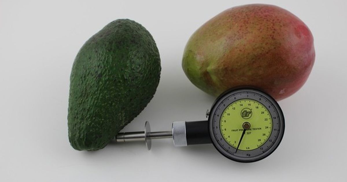 Công cụ đo độ cứng trái cây mới của TR Turoni