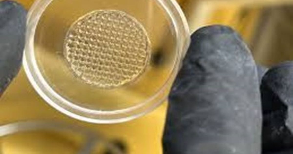 Da in 3D thay thế cho thử nghiệm trên động vật